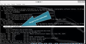 Heartbleed SSL bug Scanning using Nmap on Kali Linux - Team 1993 VN